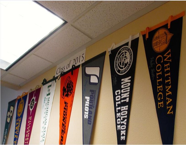 custom mini college, university, school pennants, flags and banners at ...